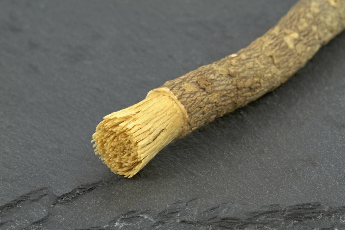 Siwak : pourquoi est-il si apprécié pour le lavage des dents ? - Que ...